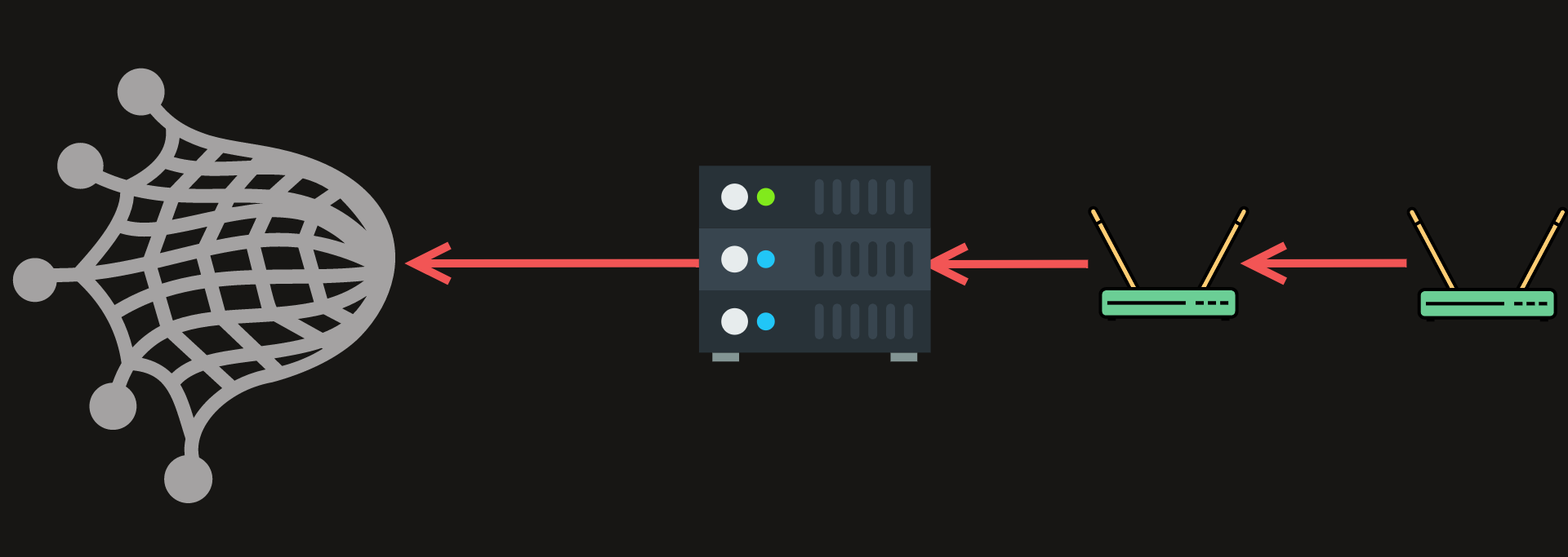 IMS Double Net Bug - DF Blogs